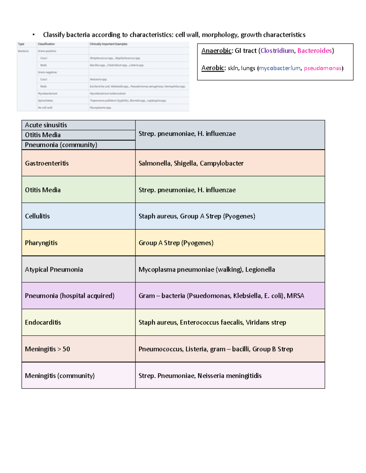 Learning objectives pharm exam 1 - Classify bacteria according to ...