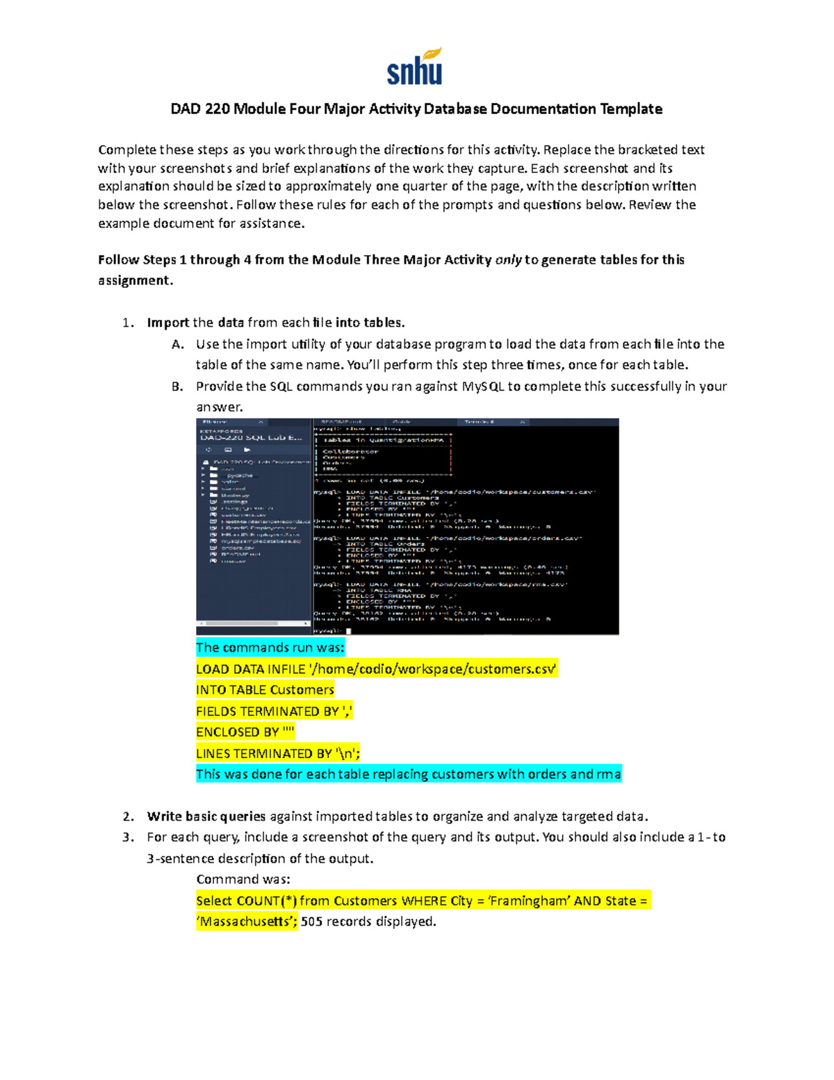 Dad 220 Module Four Major Activity Database Documentation Template Replace The Bracketed Text