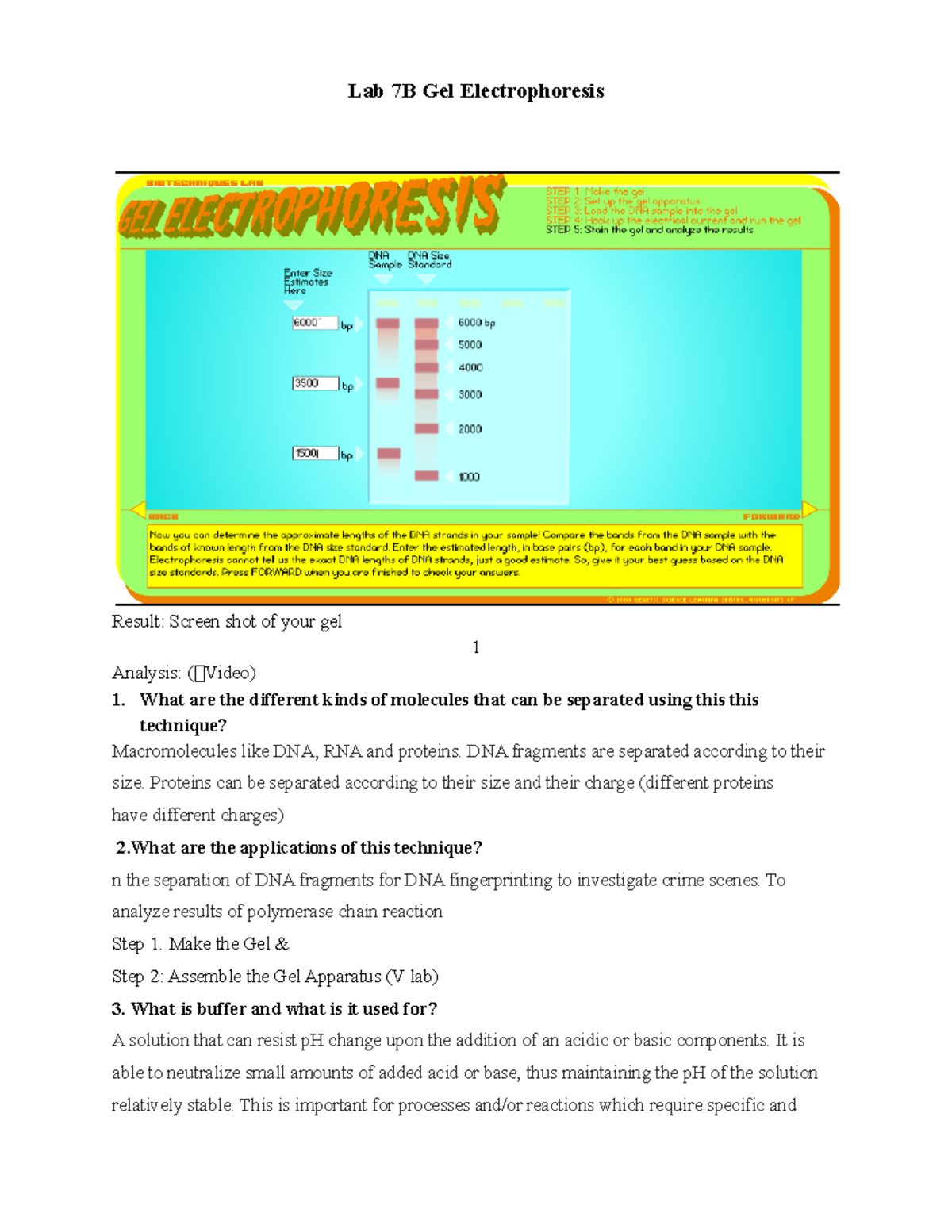 Lab 7B Gel Electrophoresis - Lab 7B Gel Electrophoresis Result: Screen ...