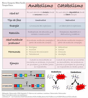 Práctica 4 Bca - Identificación de proteínas de forma cuantitativa ...