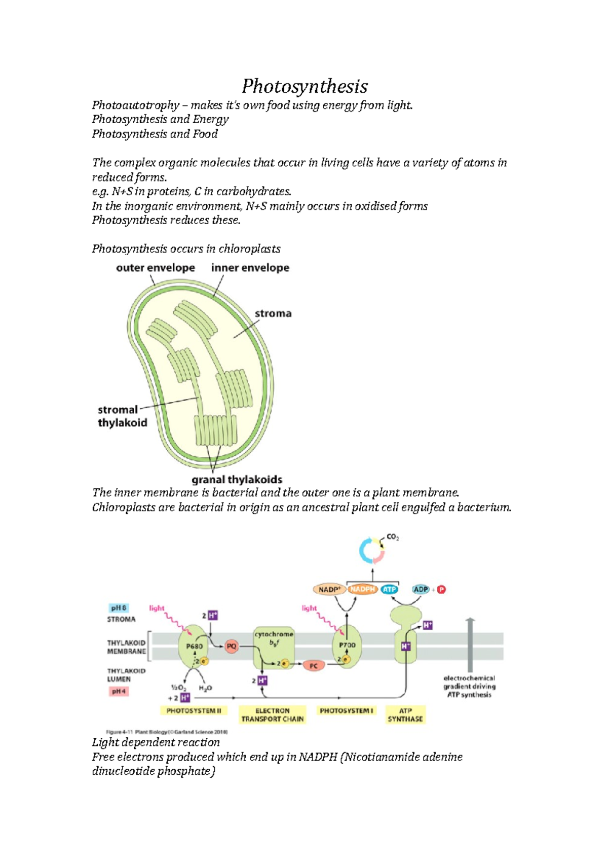 Photosynthesis - Lecture notes Semester 1 of first year ...