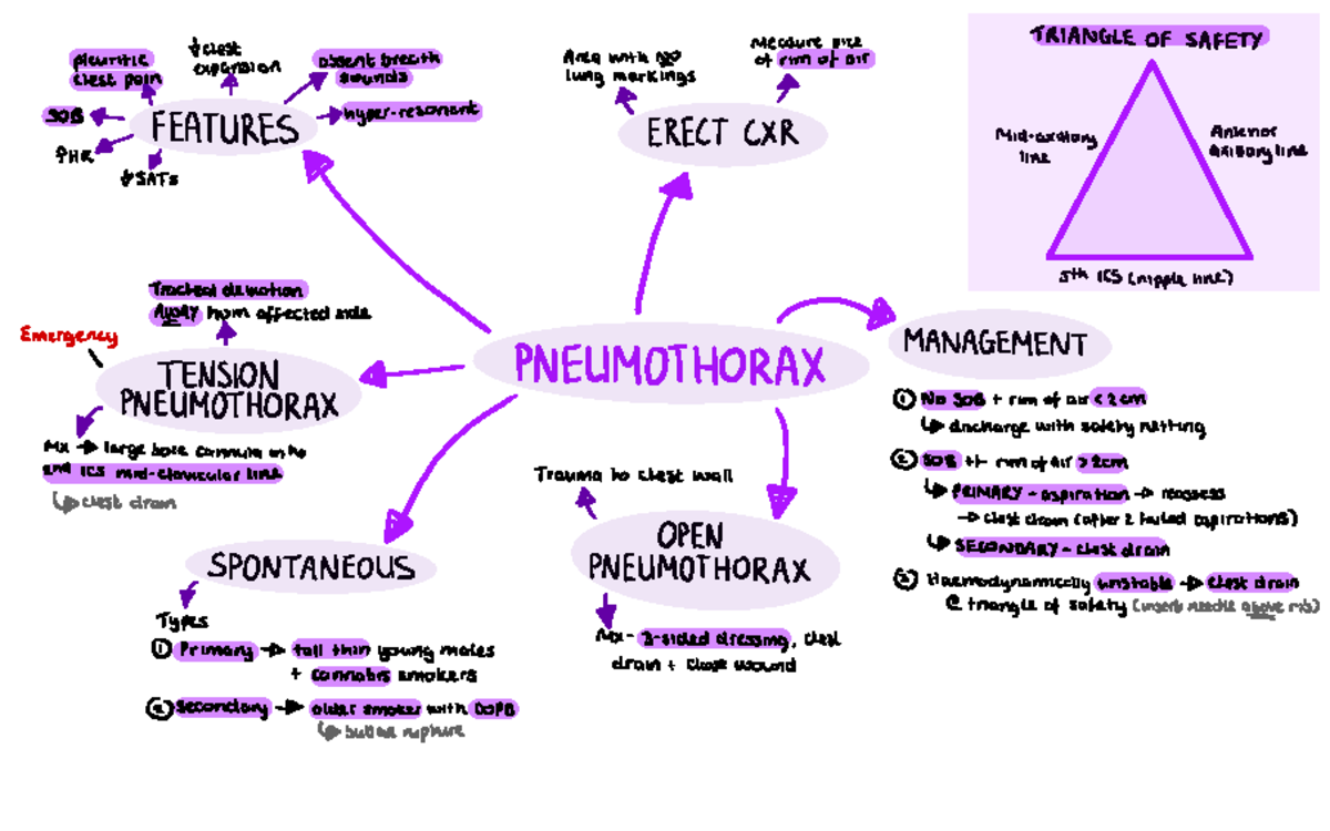 Respiratory medicine spider diagrams - ↓crest Measure size TRIANGLE OF ...