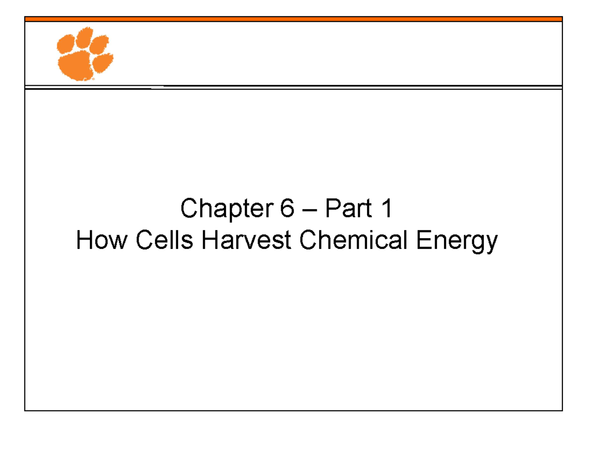 Chapter 6 pt 1 Notes for BIOL 104 0 - Chapter 6 – Part 1 How Cells ...