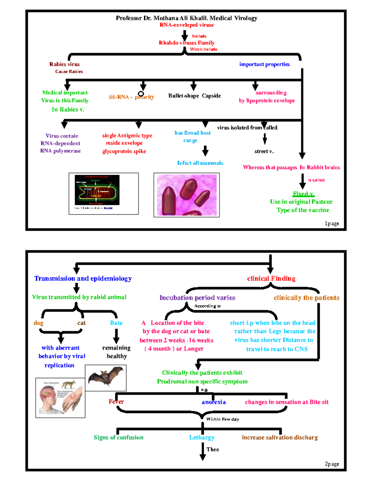 RNA-enveloped viruse - Professor Dr. Mothana Ali Khalil. Medical ...