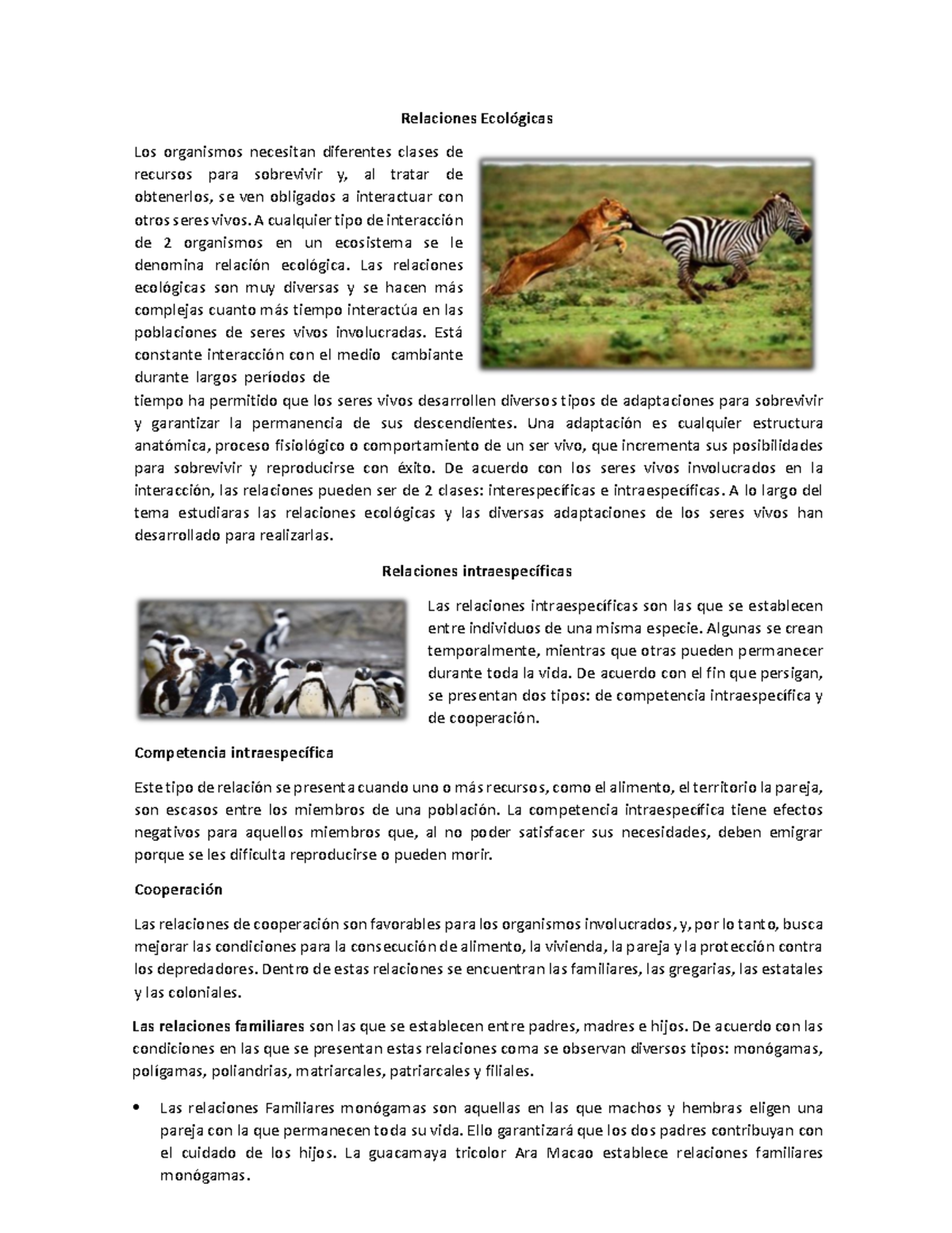 Relaciones Ecológicas grado septimo 2023 - Relaciones Ecológicas Los ...