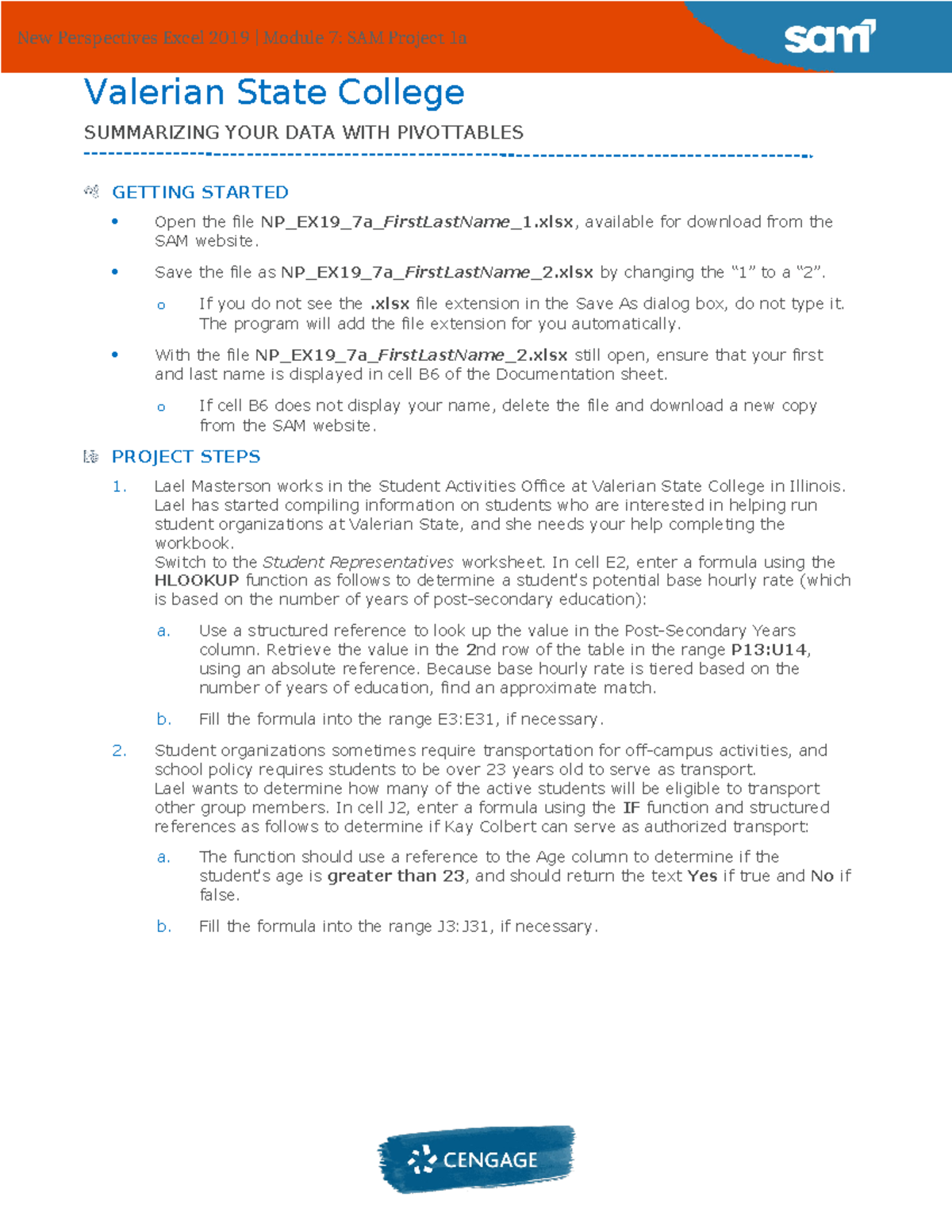 Instructions NP EX19 7a - Valerian State College SUMMARIZING YOUR DATA ...
