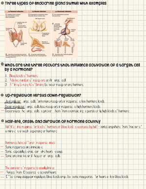 Unit 1 Lecture study guide - Endocrine system Ch 16 What is A hormone ...