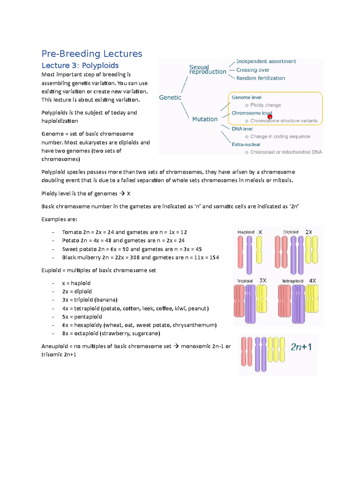 Pre-Breeding Lectures - Pre-Breeding Lectures Lecture 3: Polyploids ...