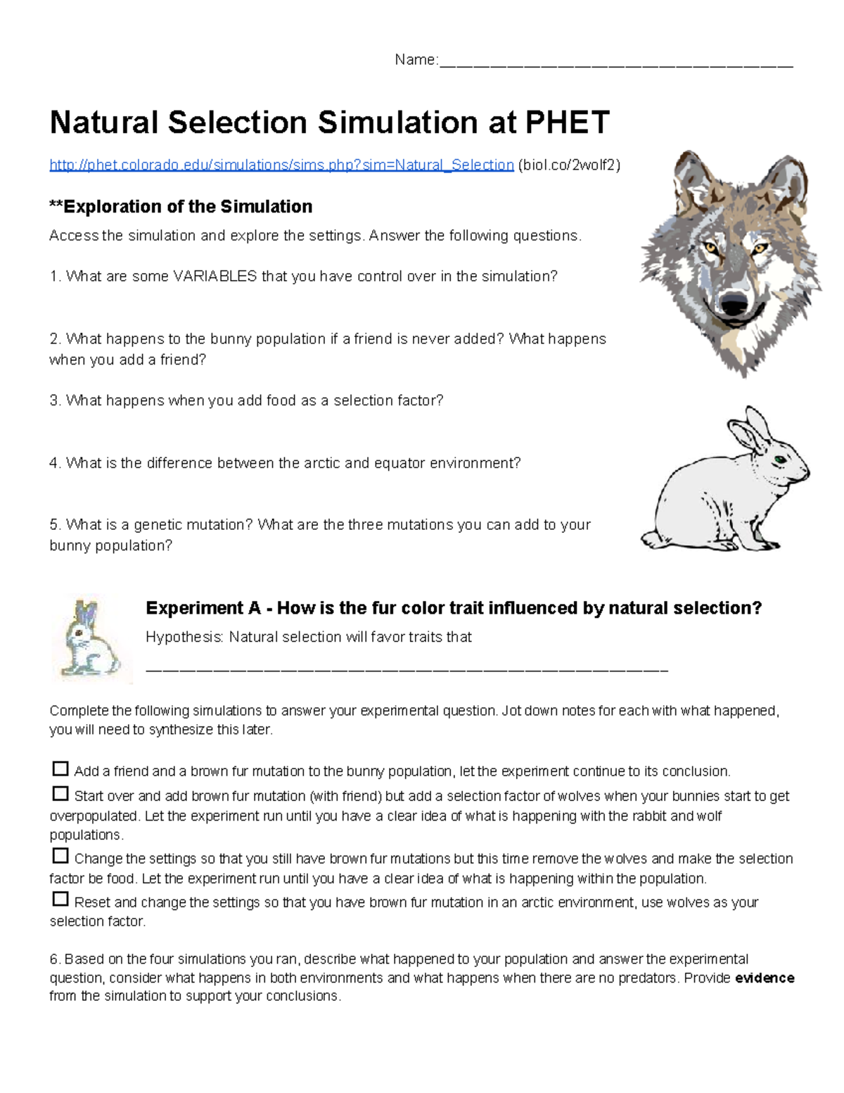 Natural Selection Simulation Worksheet - Name ...
