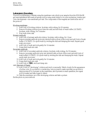 Microscope lab exercise modified - Microscope Laboratory Exercise ...