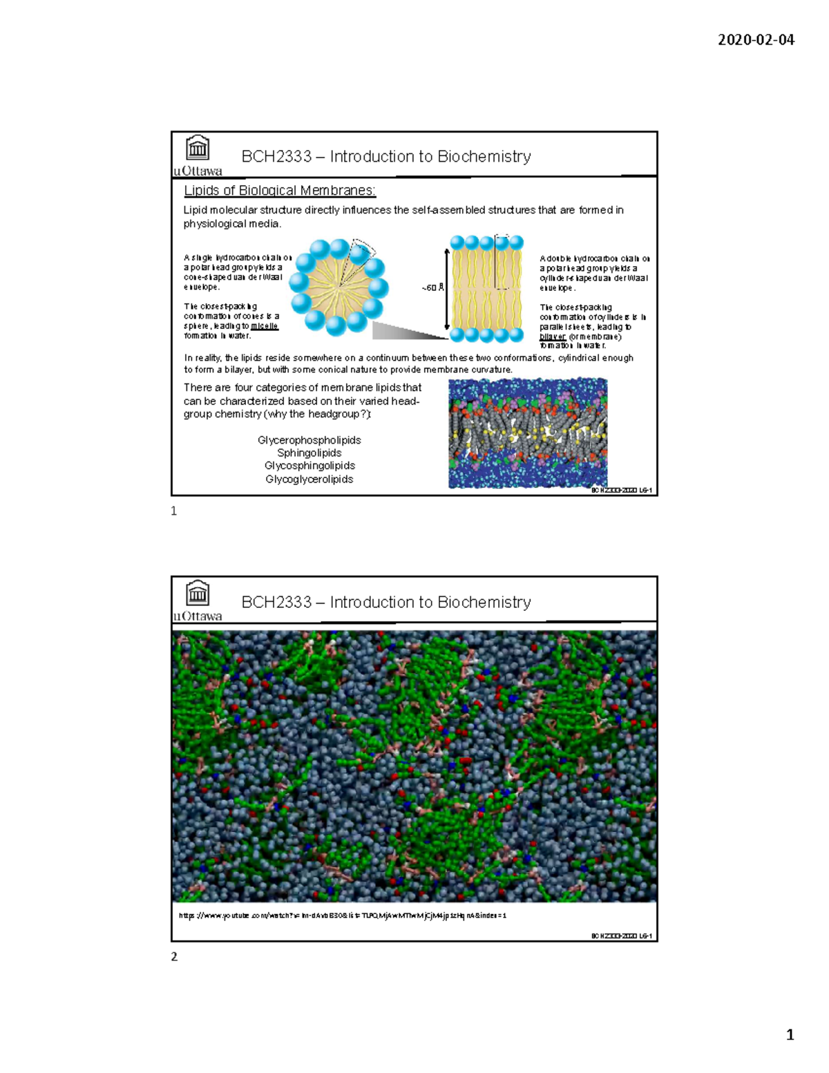Lecture 7 - Warning: TT: undefined function: 32 BCH2333 – Introduction to Biochemistry Lipids of ...