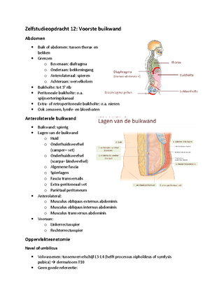Examenvragen ANA - anatomie - Stelling A: de processi spinosi van de ...