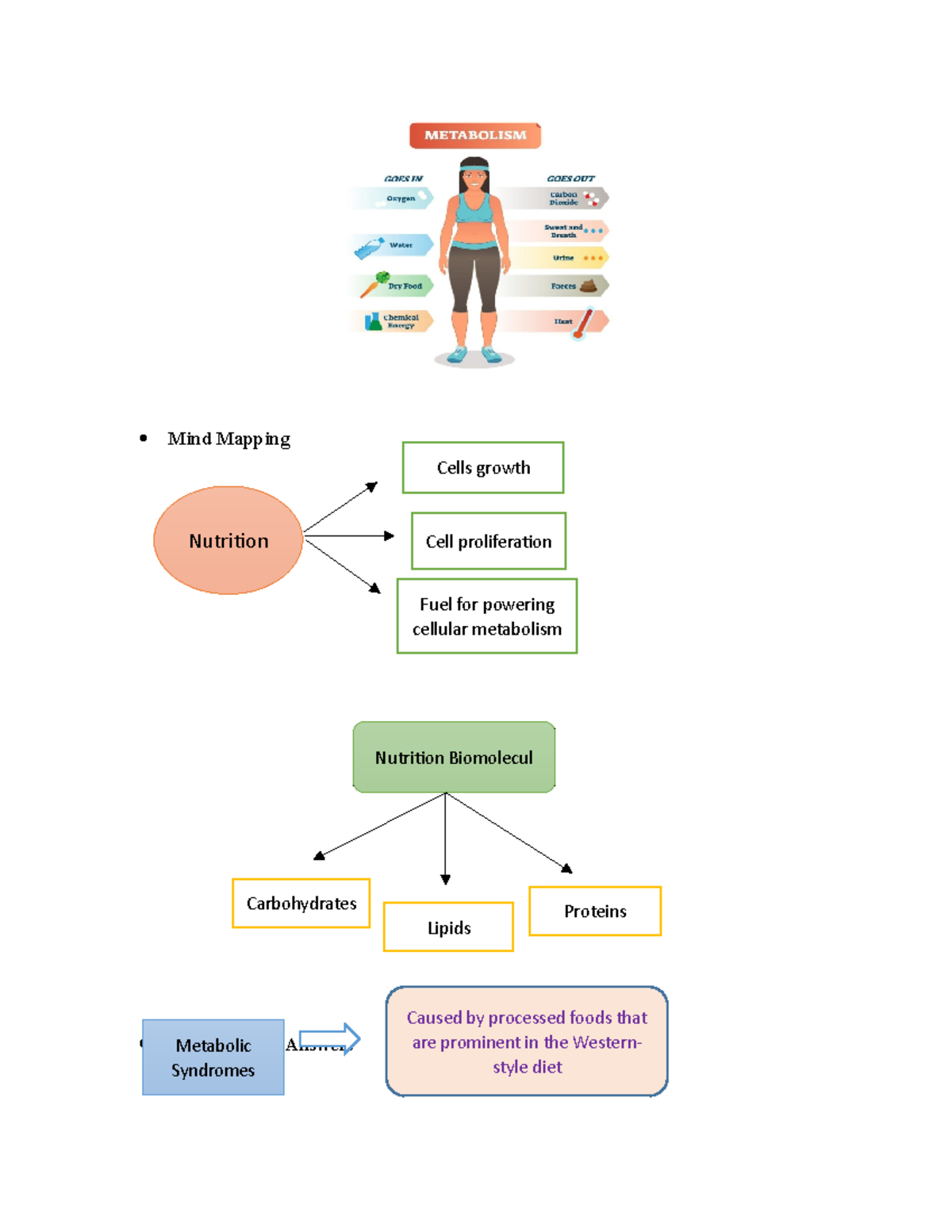 Meeting 5 Nutrient Metabolism - Mind Mapping Questions and Answers ...