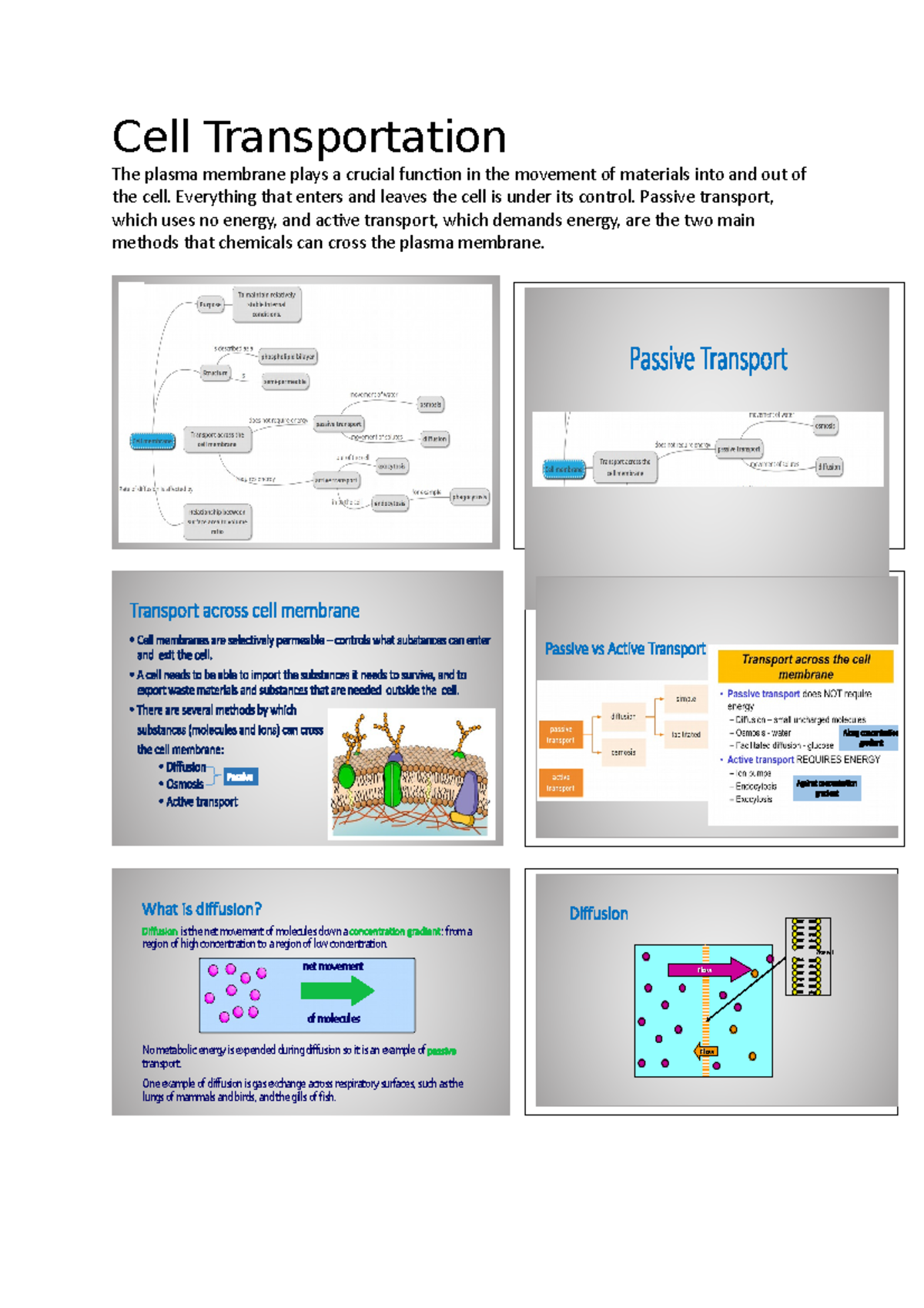 Cell Transportation - Year 11 Biology Unit 1 Topic 1 - Cell Transportation The plasma membrane ...