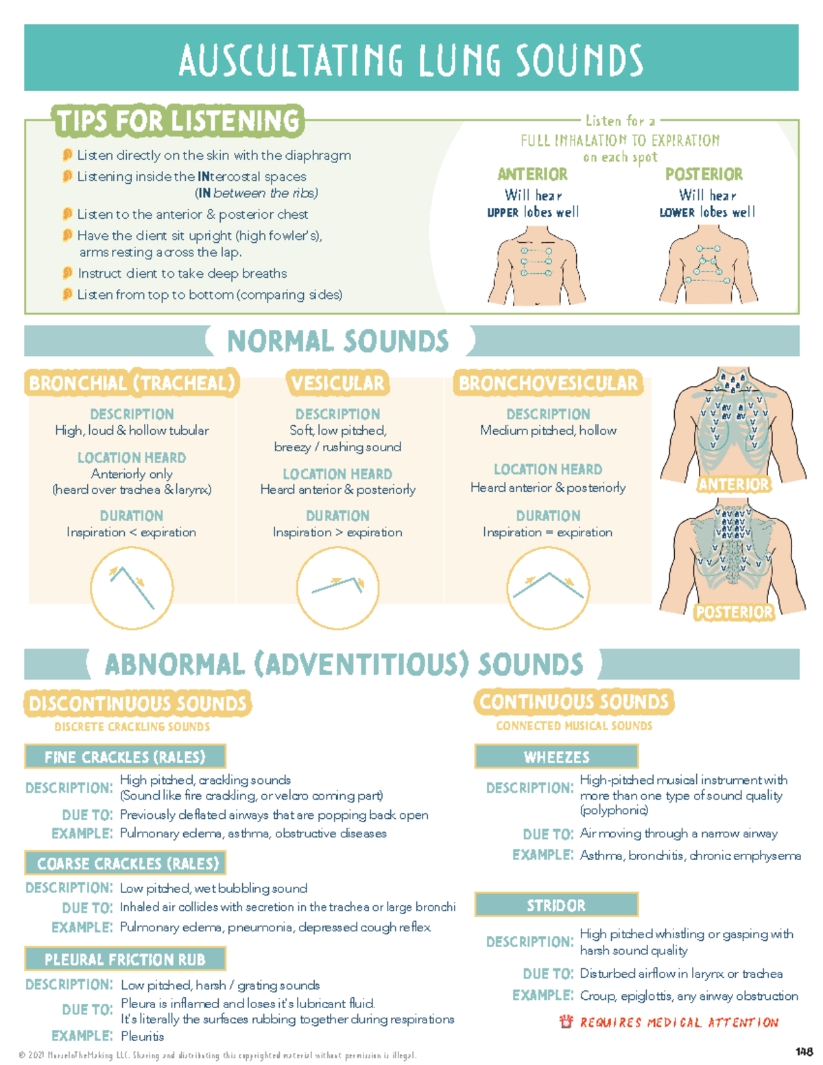 Med surg of the respiratory system - AUSCULTATING LUNG SOUNDS tips for ...
