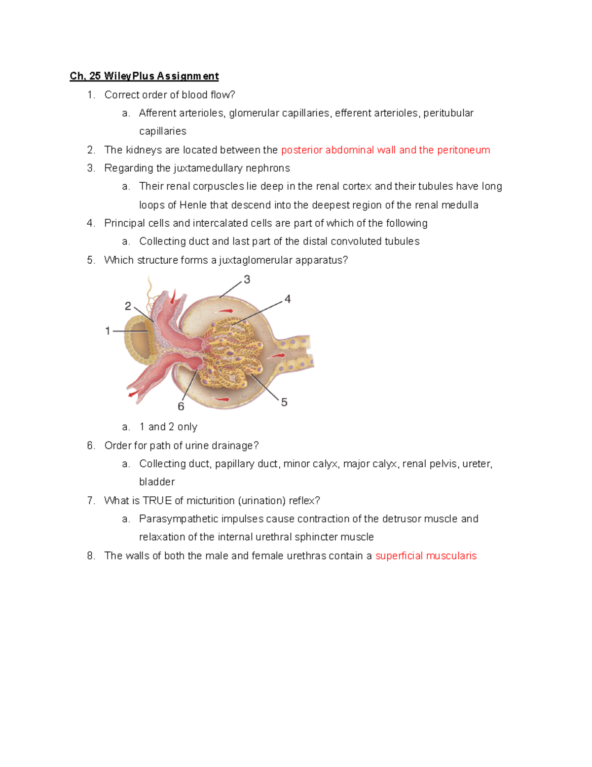 Anatomy Assignment Notes - Ch, 25 WileyPlus Assignment 1. Correct order ...