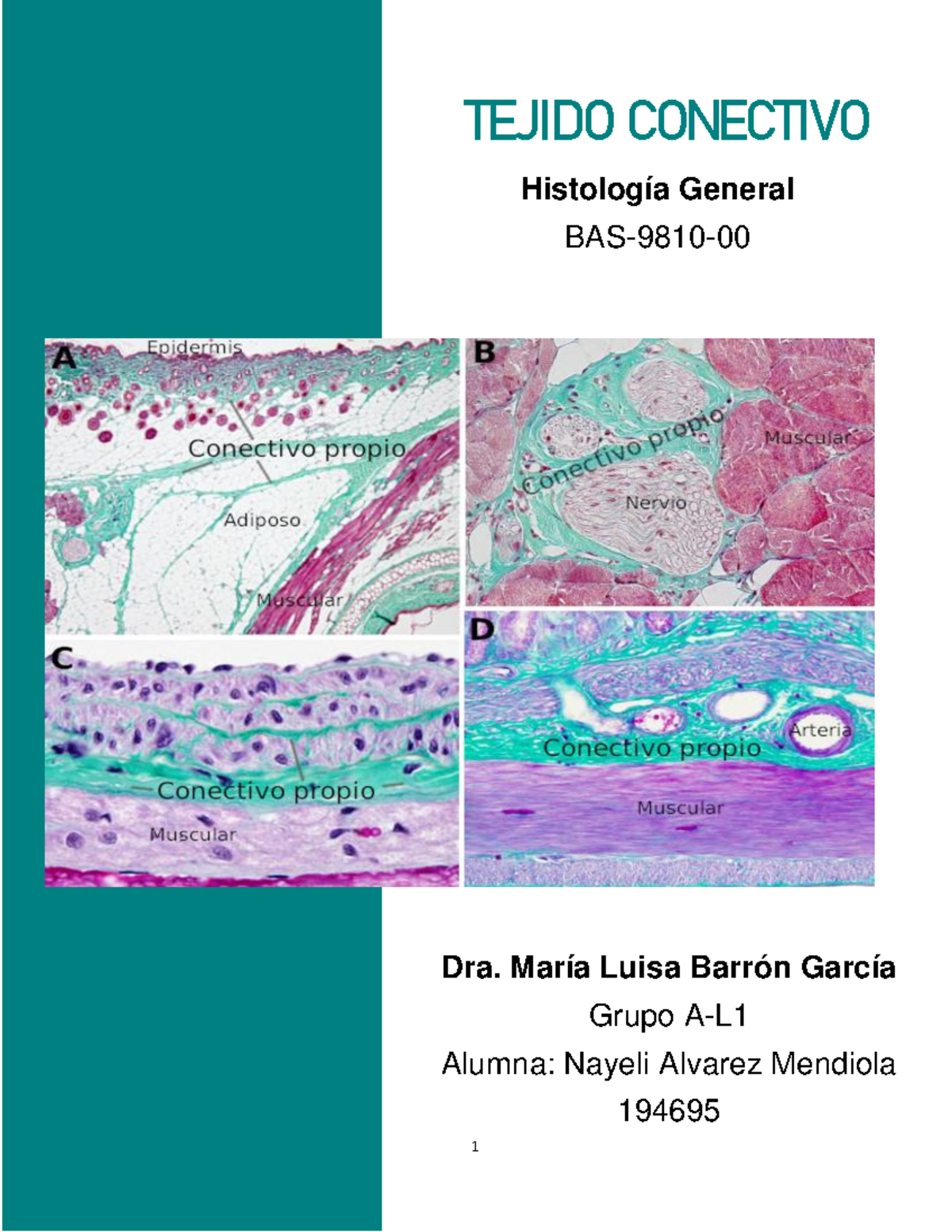 Resumen de tejido conectivo - Warning: TT: undefined function: 32 TEJIDO CONECTIVO Histología ...