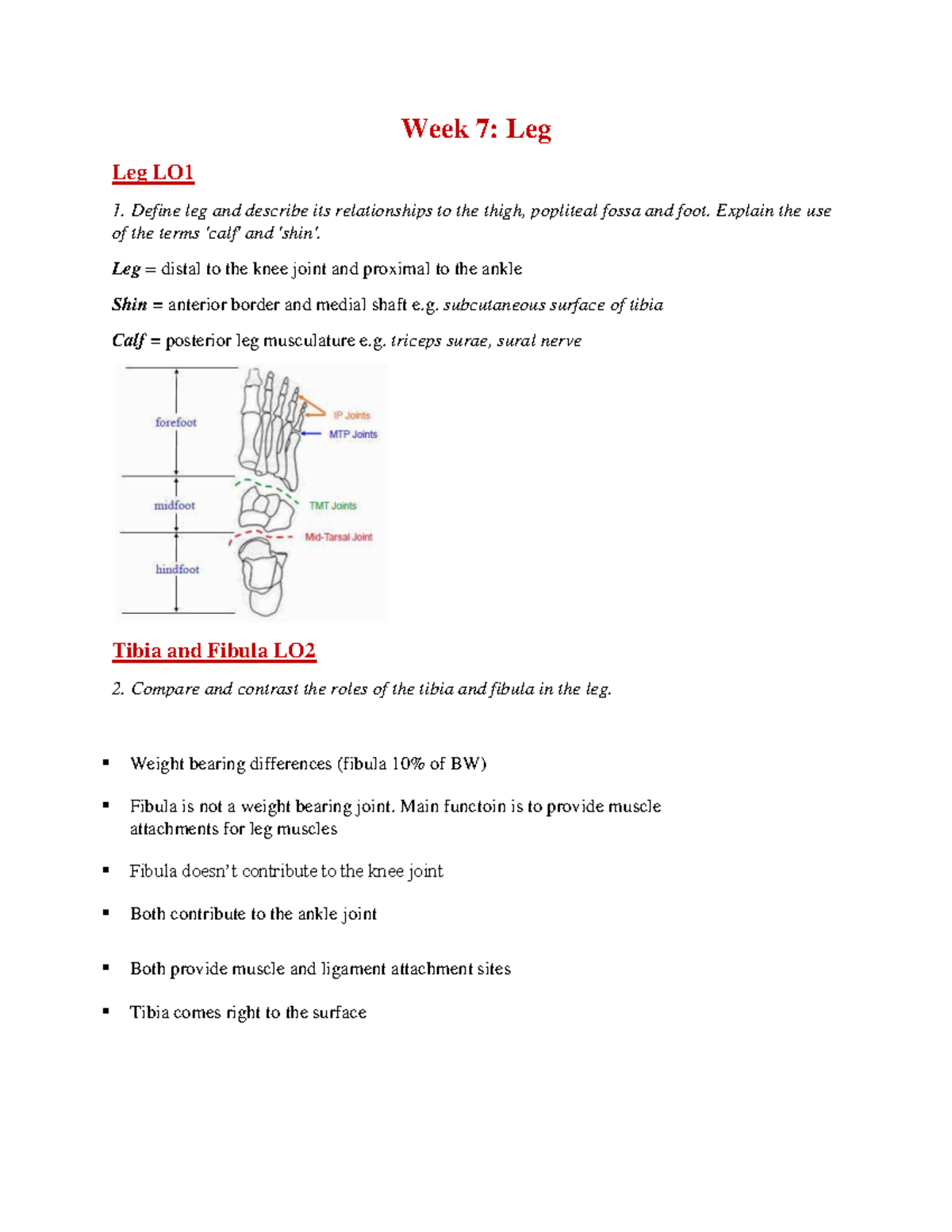 Lecture notes, foot - Week 7: Leg Leg LO Define leg and describe its ...