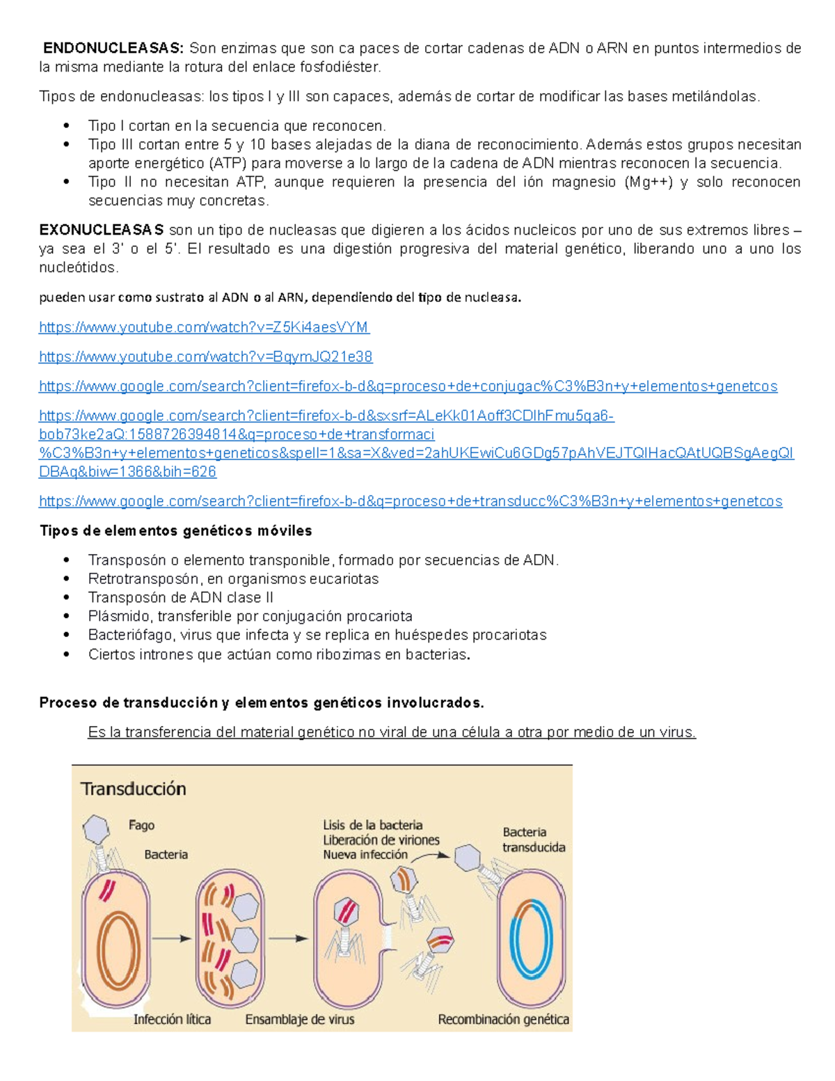 Endonucleasas - ENDONUCLEASAS: Son enzimas que son ca paces de cortar ...