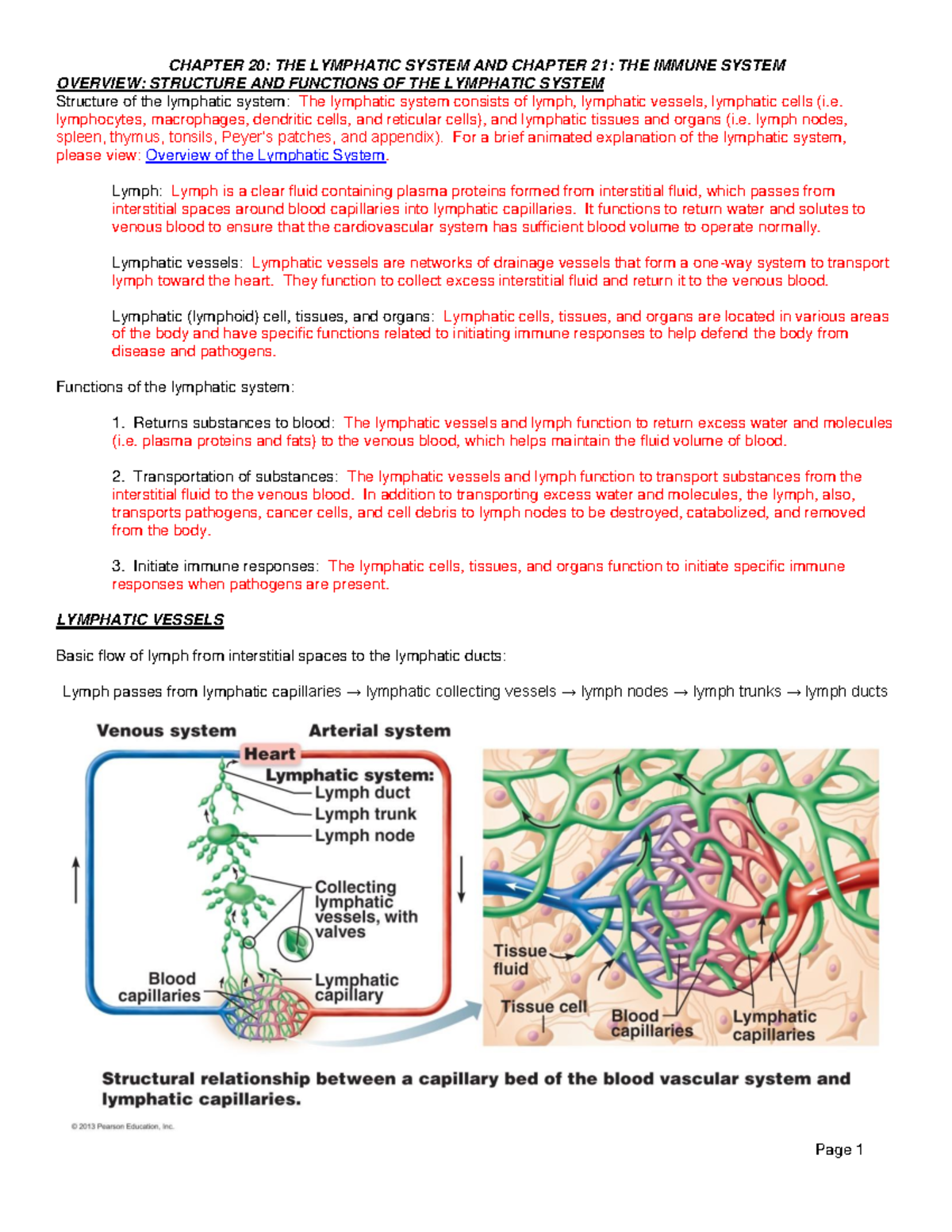 Ch. 20 & Ch. 21 Lecture Outline - OVERVIEW: STRUCTURE AND FUNCTIONS OF ...