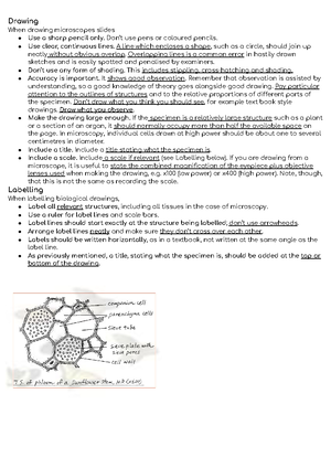 Exampro Cell Biology Questions copy - The image below shows some cells ...