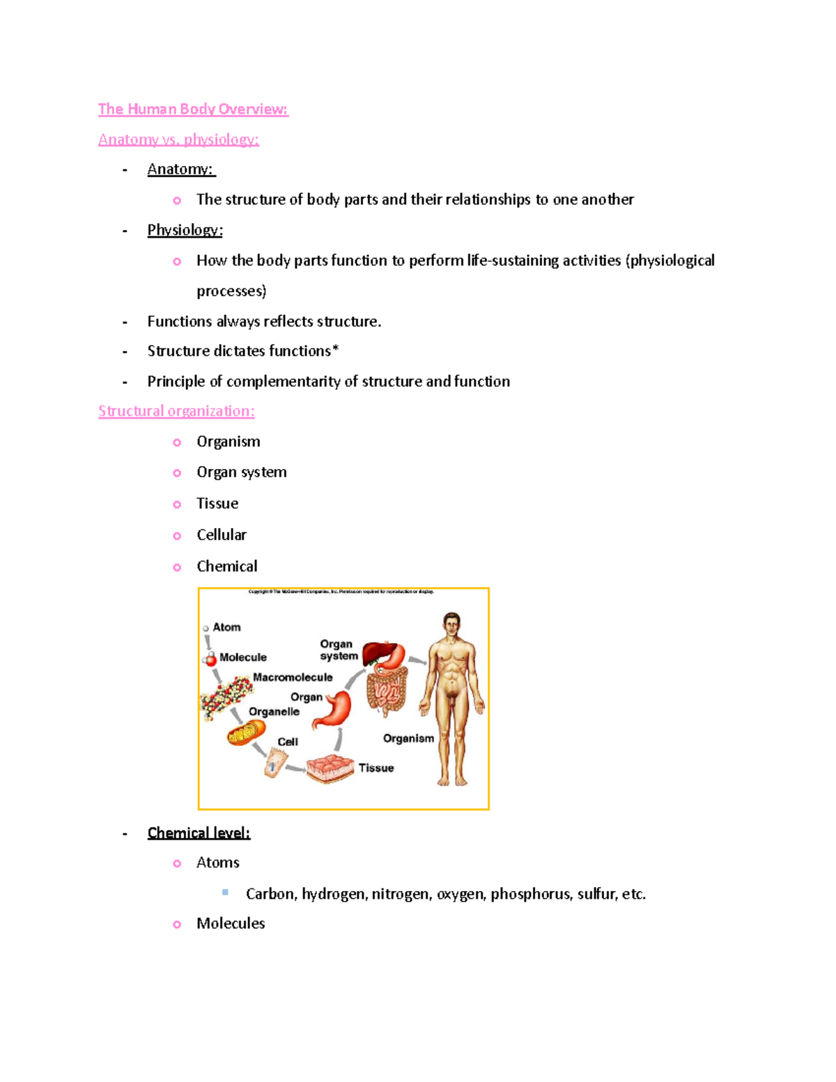 KNR 181 Notes - Professor: Aaron Harwick - The Human Body Overview ...