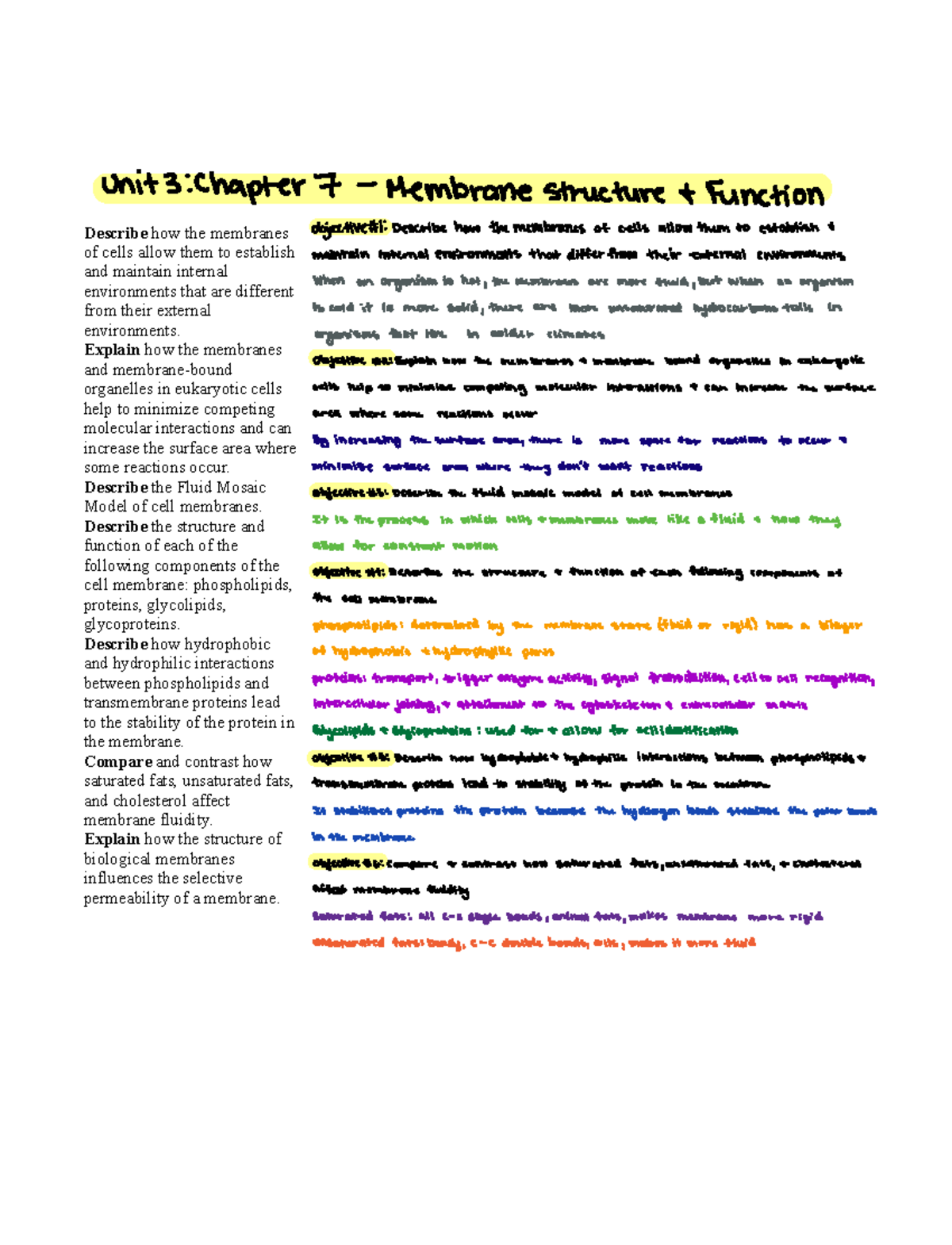 Unit 3 Chapter 7 Study Guide - unit 3 chapter 7 Membrane structure t Function objective 1 - Studocu