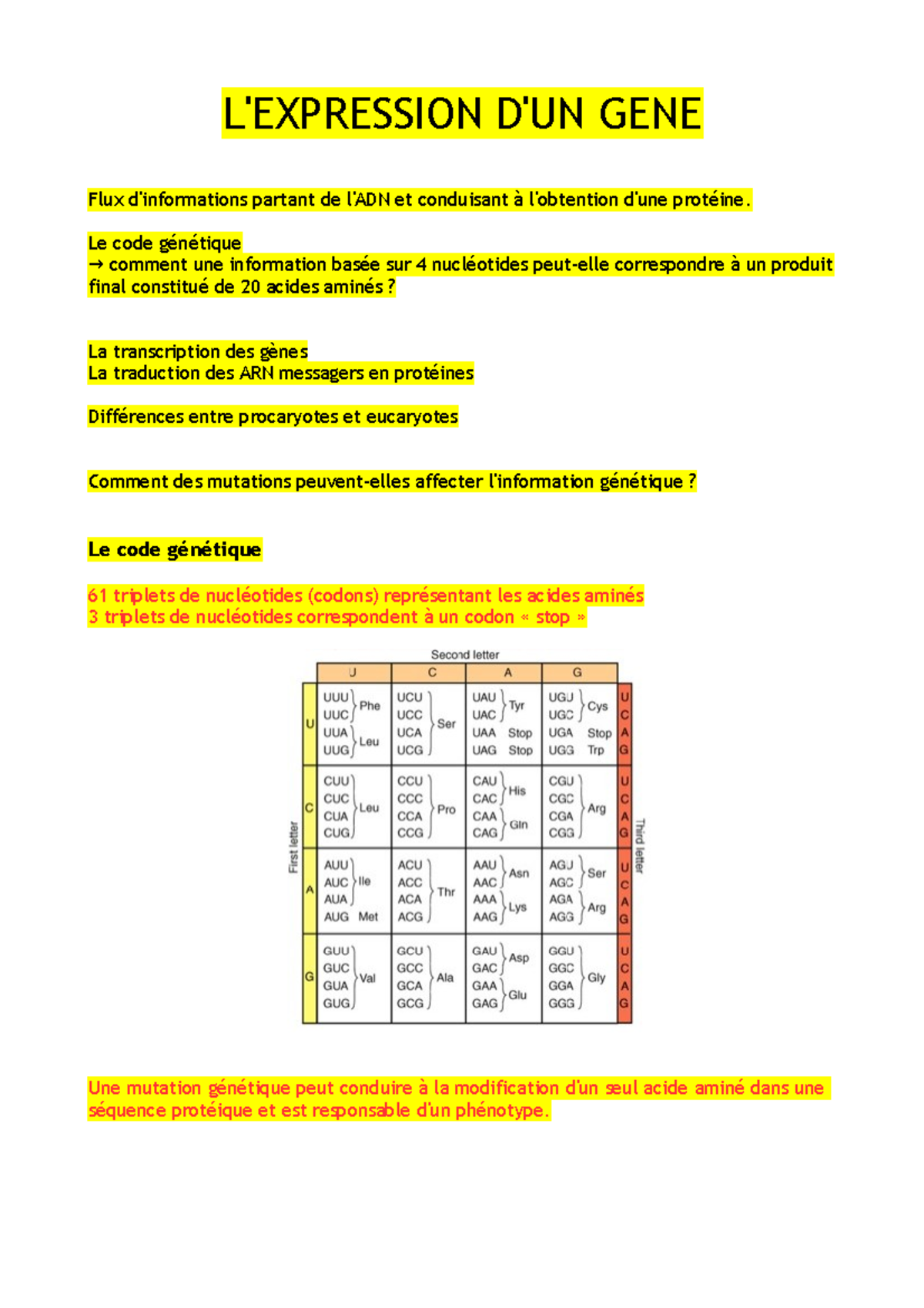 Cours 6 - L'expression d'un gène - L'EXPRESSION D'UN GENE Flux d ...