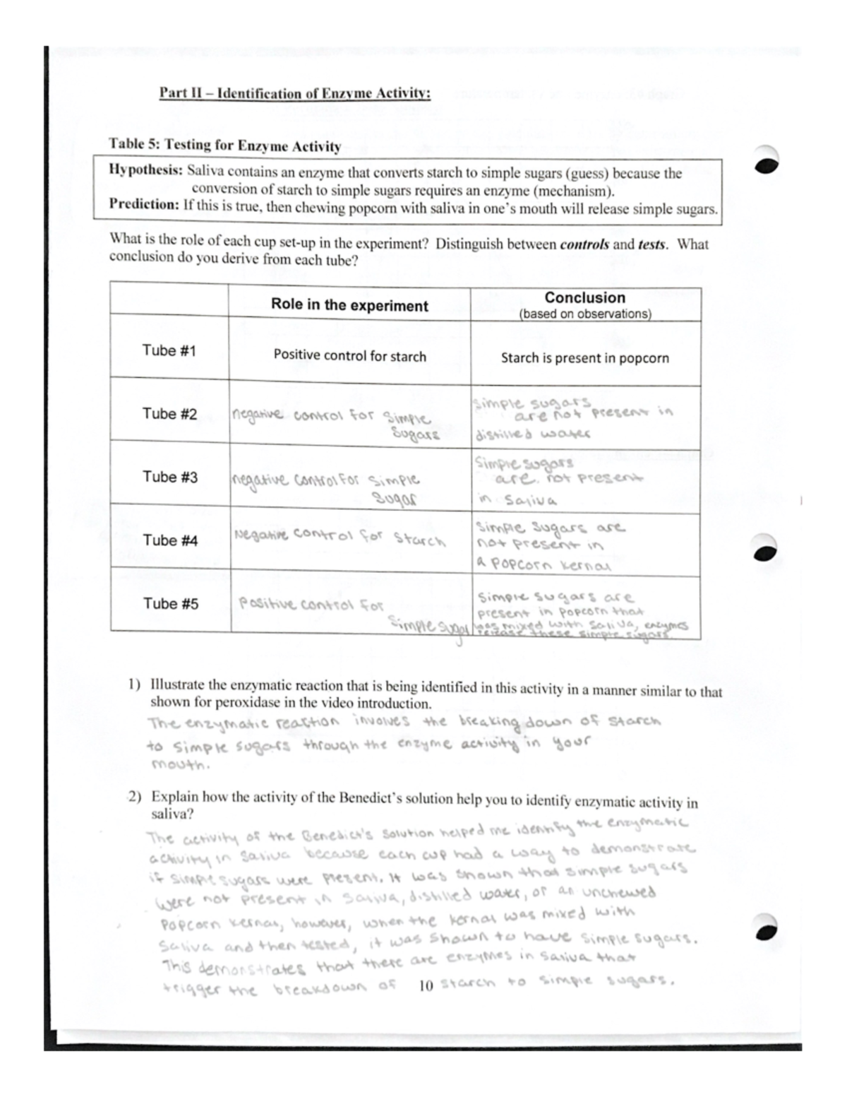 Part II - Identification of Enzyme Activity 2 - BIO 161 - Studocu