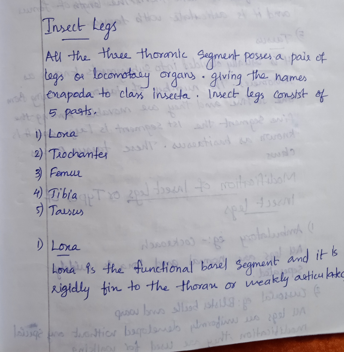 Insect legs- modifications, types - Fundamentals Of Entomology And ...