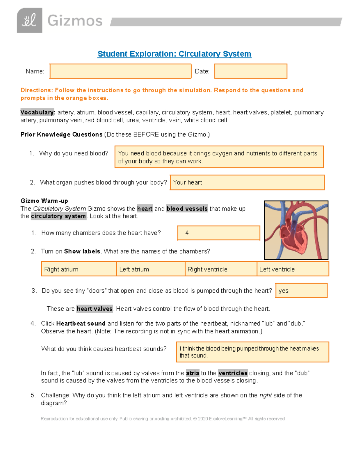 Circulatory System Gizmos - Student Exploration: Circulatory System ...