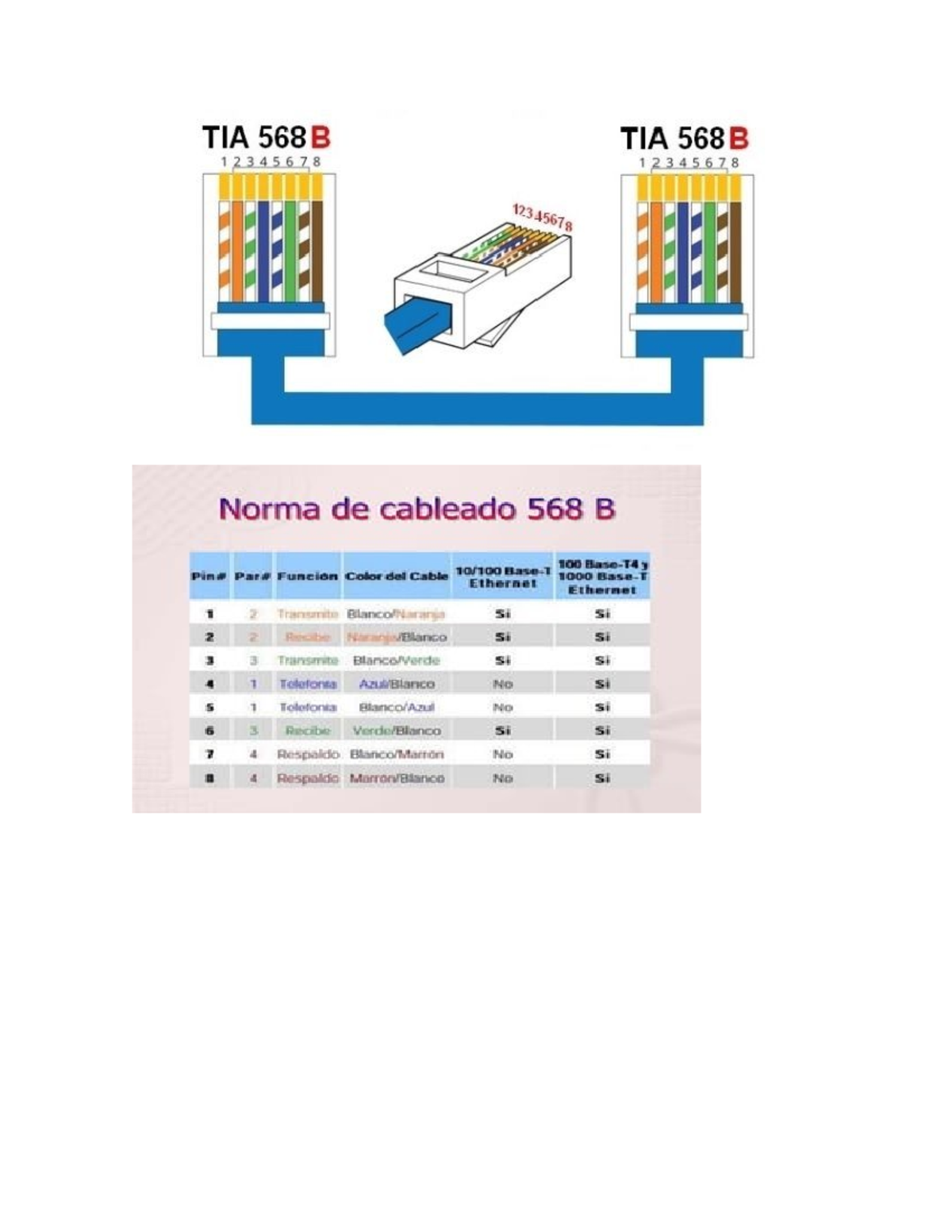 Cable directo - TIA 568 B TIA 568 B 12345678 8 12345678 12345678 Norma de cableado 568 B 100 ...
