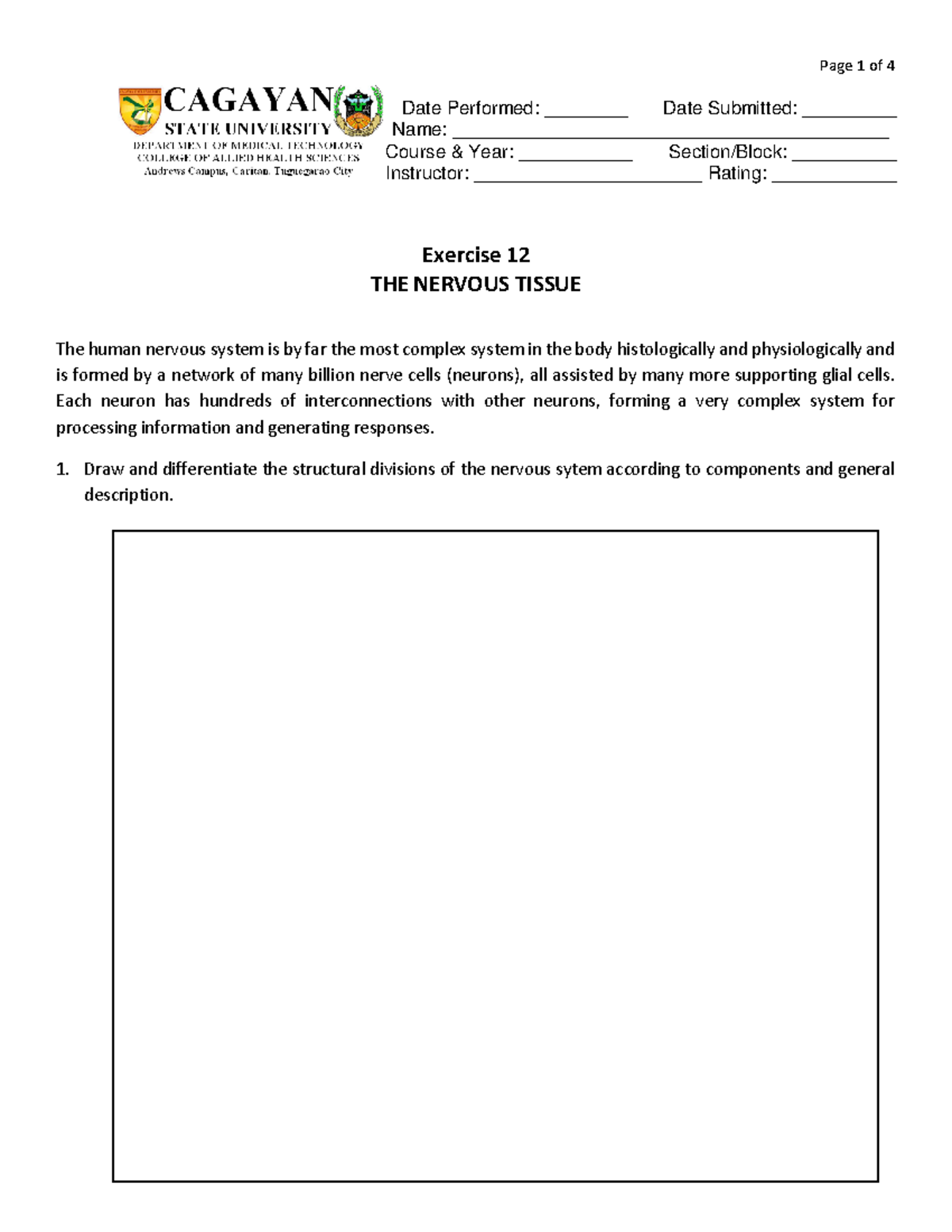 Nervous Tissue ActivITY 12 - Date Performed: ________ Date Submitted: _________ Name: - Studocu