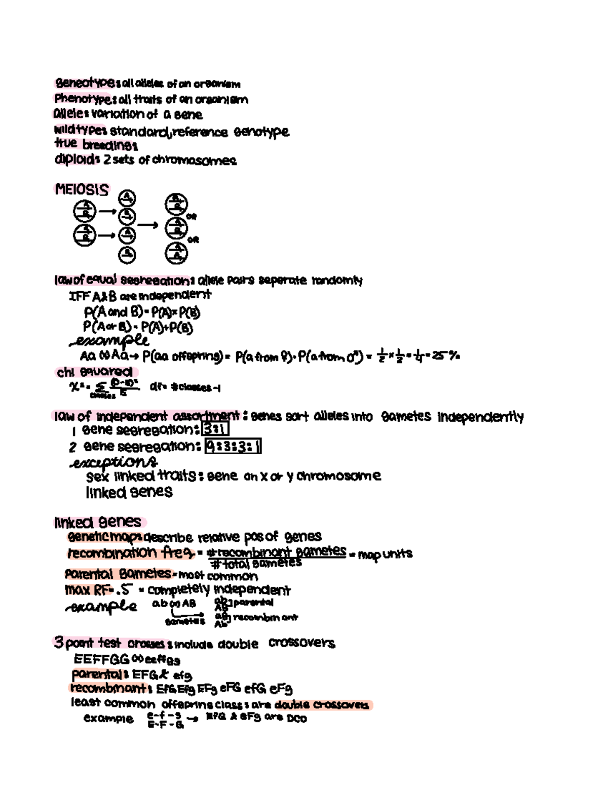 Cheat Sheet 7.03 - gene type allallelesofanorganism Phenotype ...