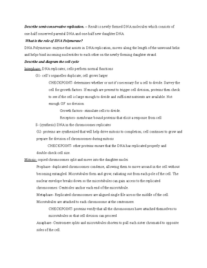 The scientific process and its significance in biology - It begins with ...