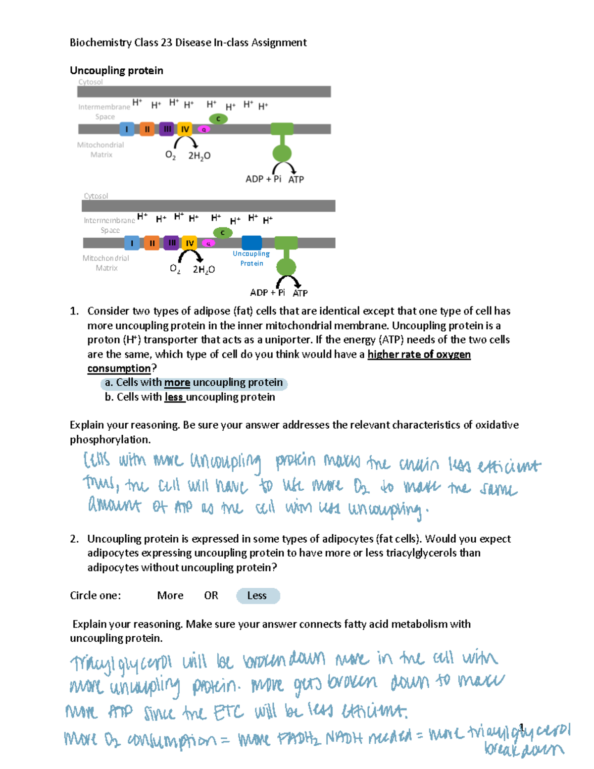 Biochem Assn 4-25 - In Class work tifft - ####### Biochemistry Class 23 Disease In-class ...