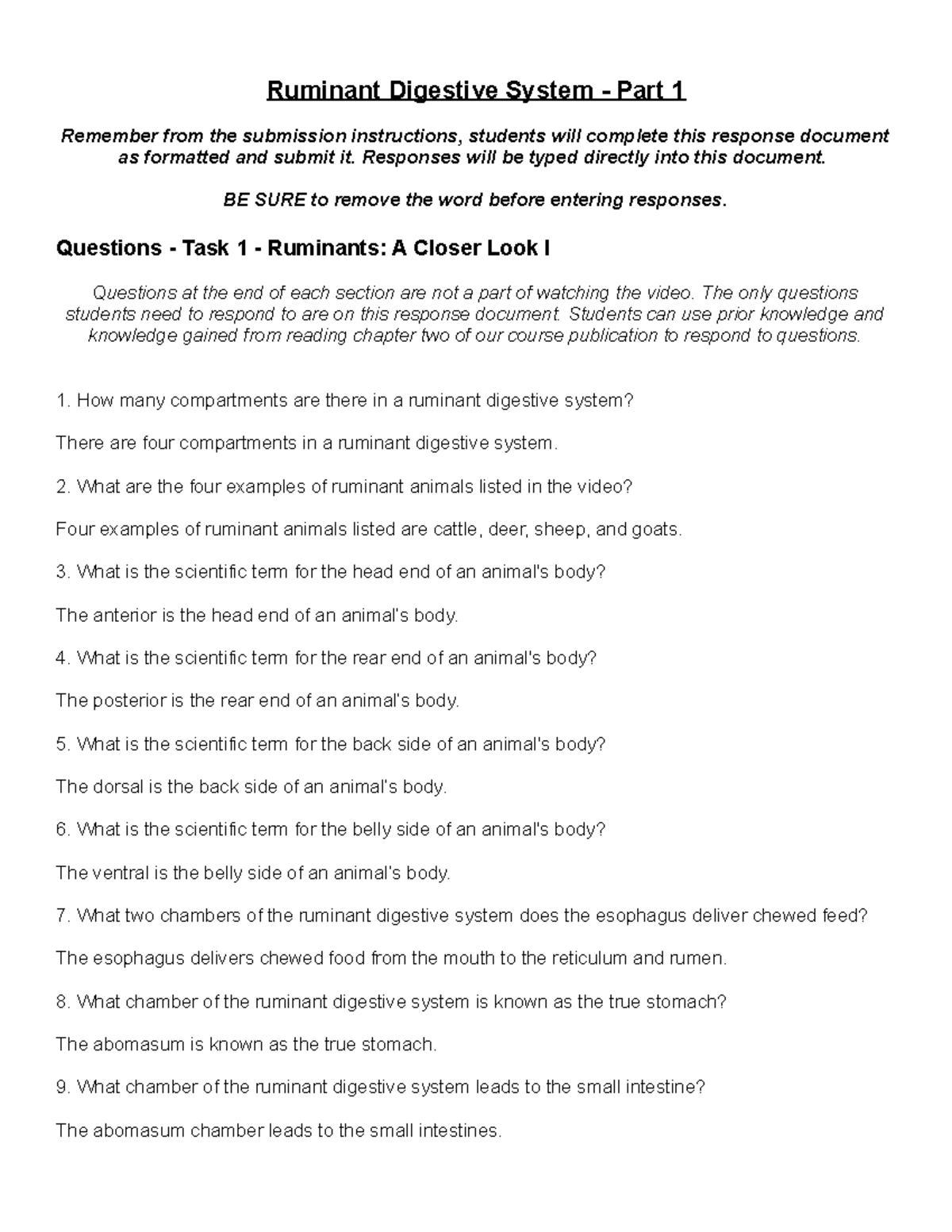 Ruminant Digestive System Responses Will Be Typed Directly Into This ruminant-digestive-system-responses-will-be-typed-directly-into-this