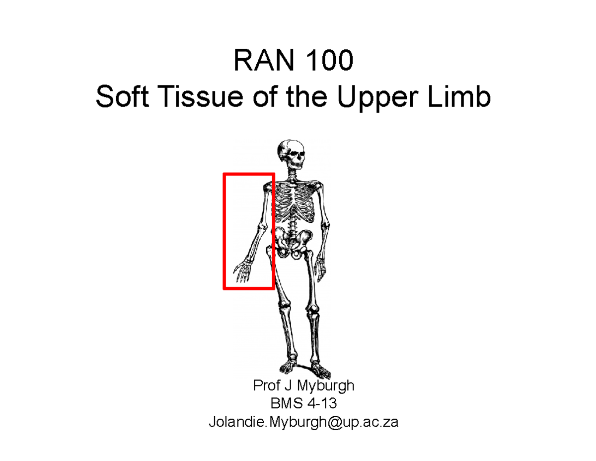 10. Soft Tissue of Upper limb - RAN 100 Soft Tissue of the Upper Limb ...