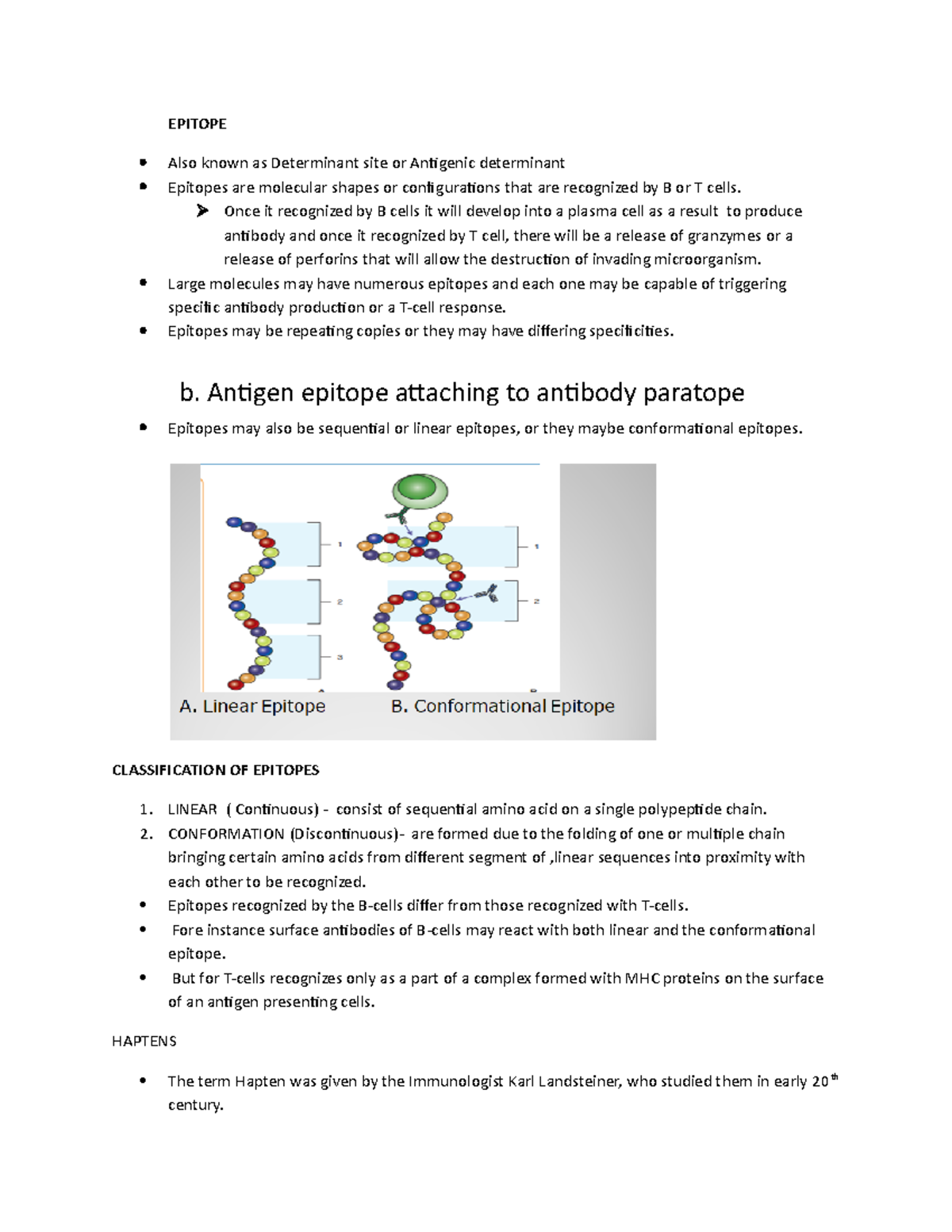 Epitope - vcbg - EPITOPE Also known as Determinant site or Antigenic ...