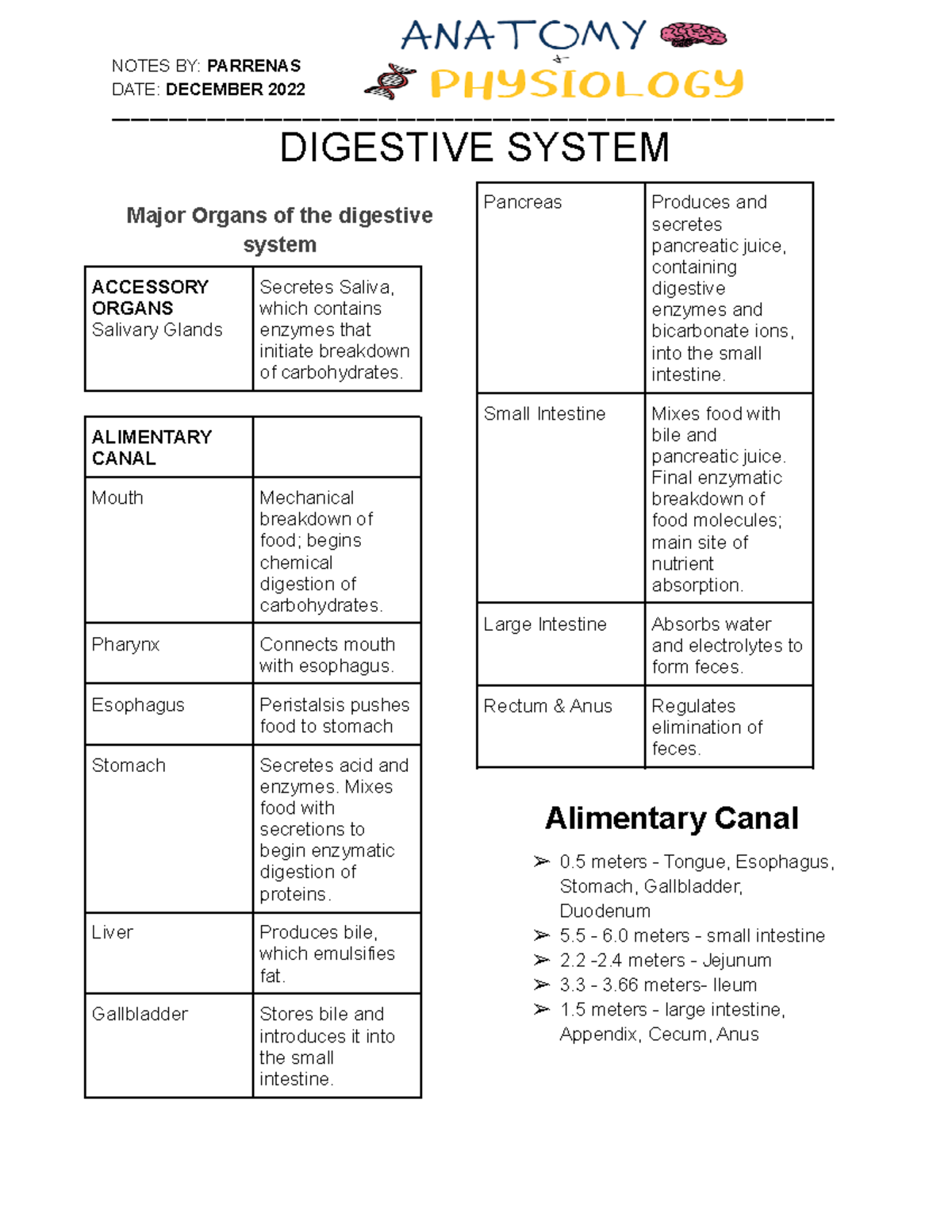 Anaphy Notes WEEK 13- Digestive System - DATE: DECEMBER 2022 - Studocu
