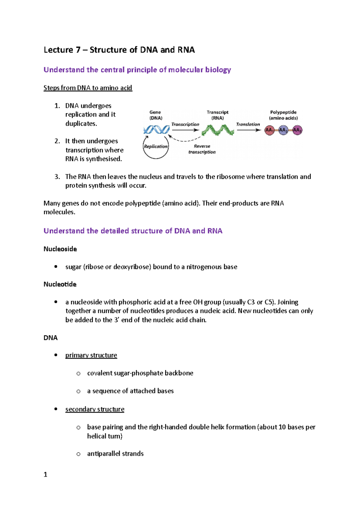 Lecture 7 Structure Of Dna And Rna Lecture 7 Structure Of Dna And Rna Understand The