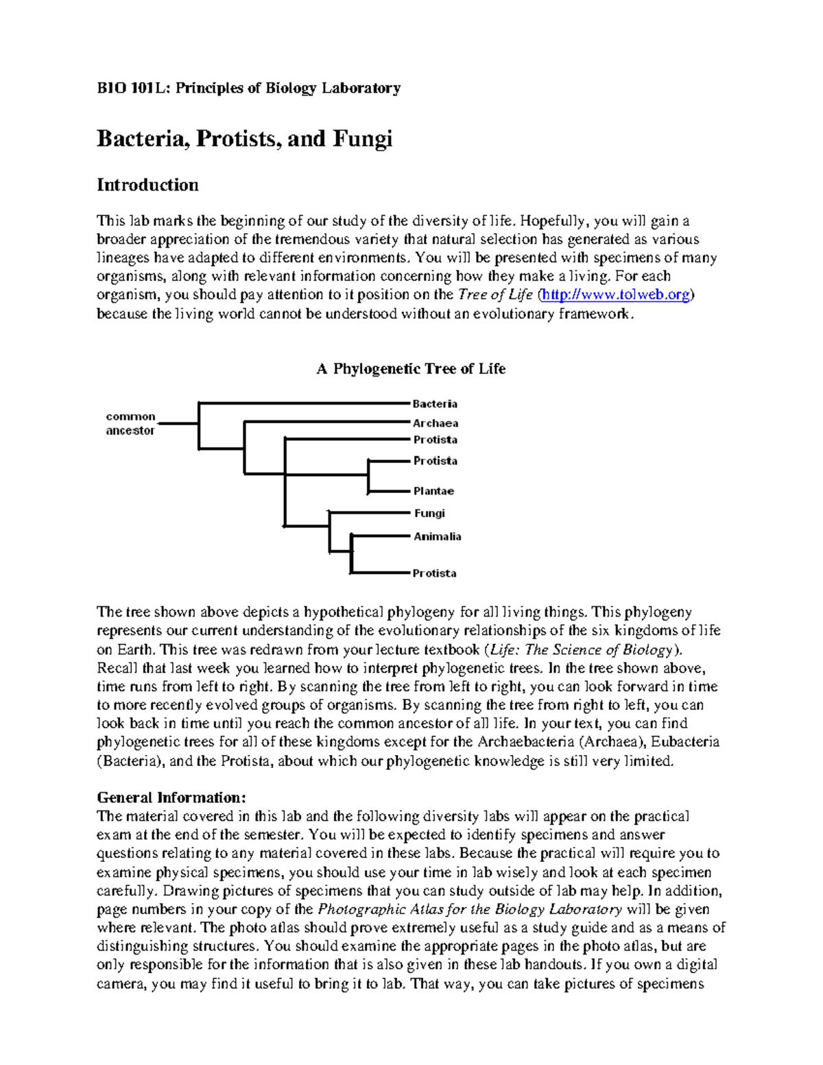 Bacteria Protista Fungi - BIO 101L: Principles of Biology Laboratory ...