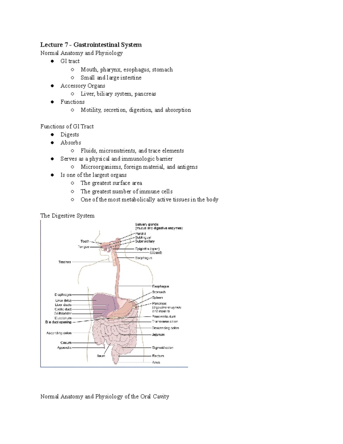 Exam 2 MNT material - Lecture 7 - Gastrointestinal System Normal ...