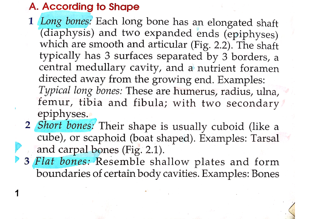 Classification of bones - BDS - Studocu
