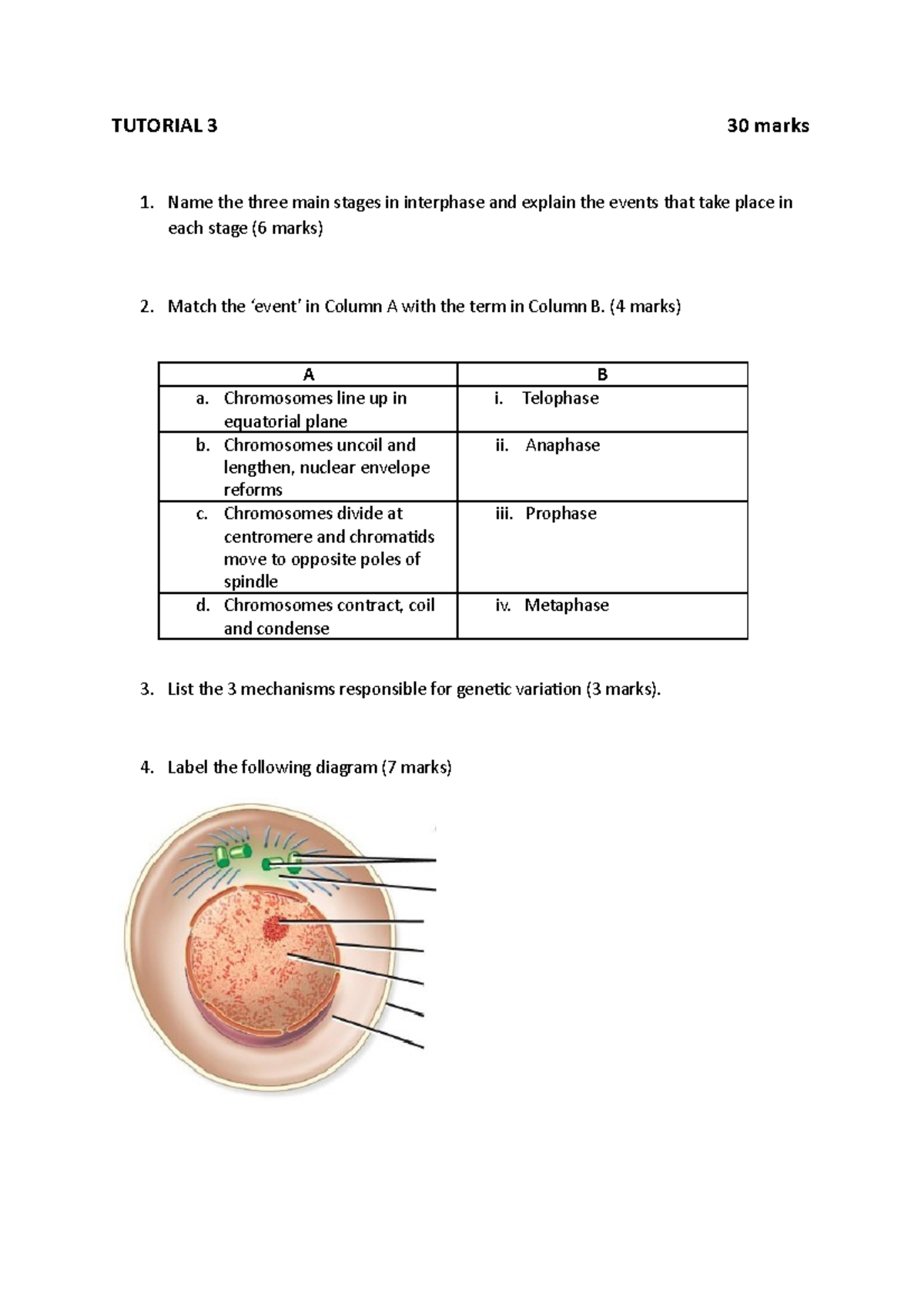 Tutorial 3- lecture 8 - TUTORIAL 3 30 marks Name the three main stages ...