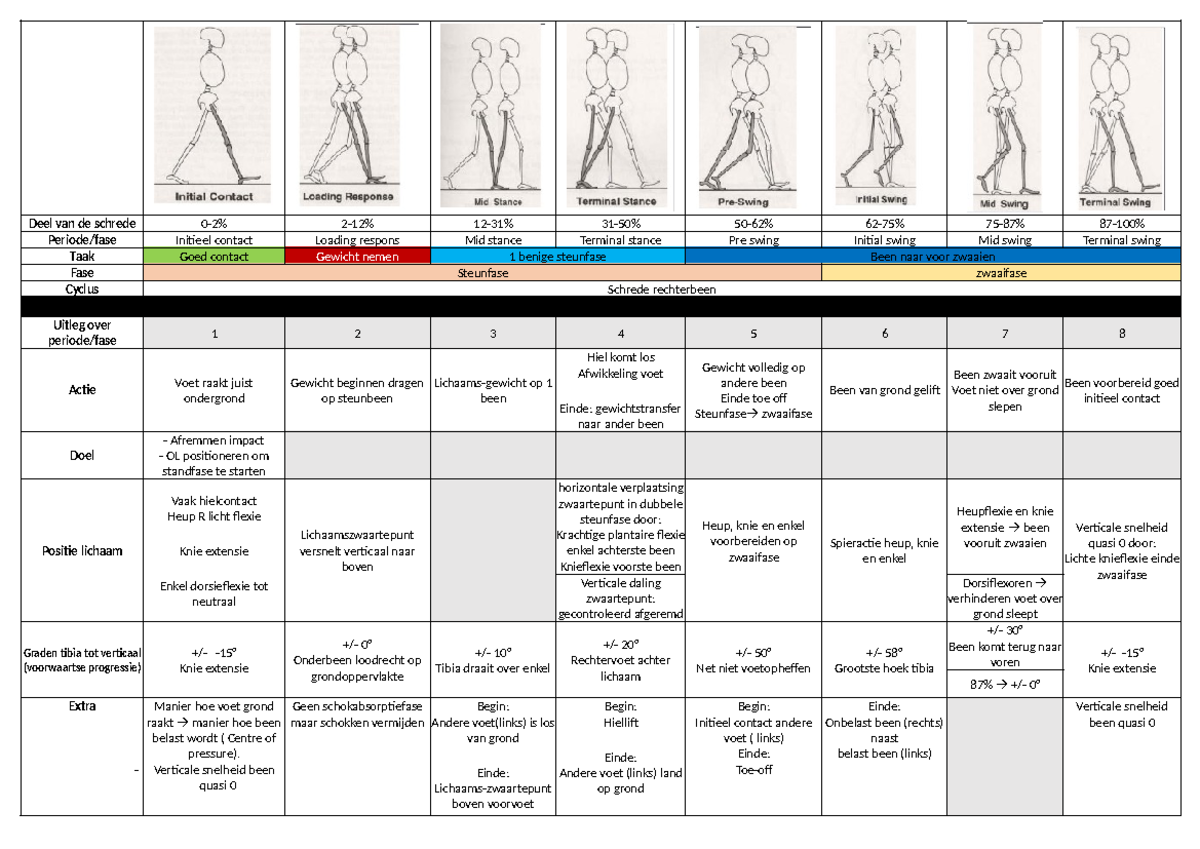 Gangcyclus afgeprint - Summary Biomechanica - Deel van de schrede 0-2% ...