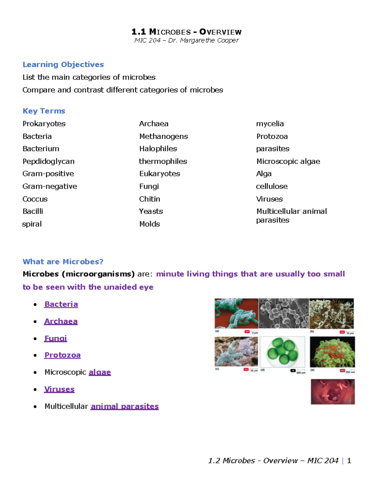 MIC 204- 1.2 Microbes Overview - 1 MICROBES - OVERVIEW MIC 204 – Dr ...