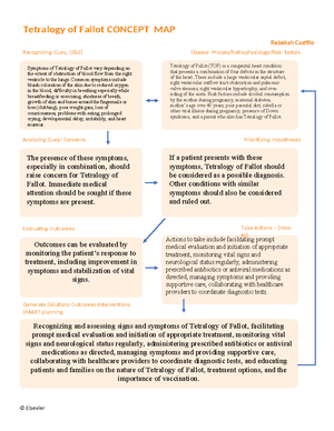 Revised Ncjmm Care Planning template Spring 2024 sv - Problem-Based ...