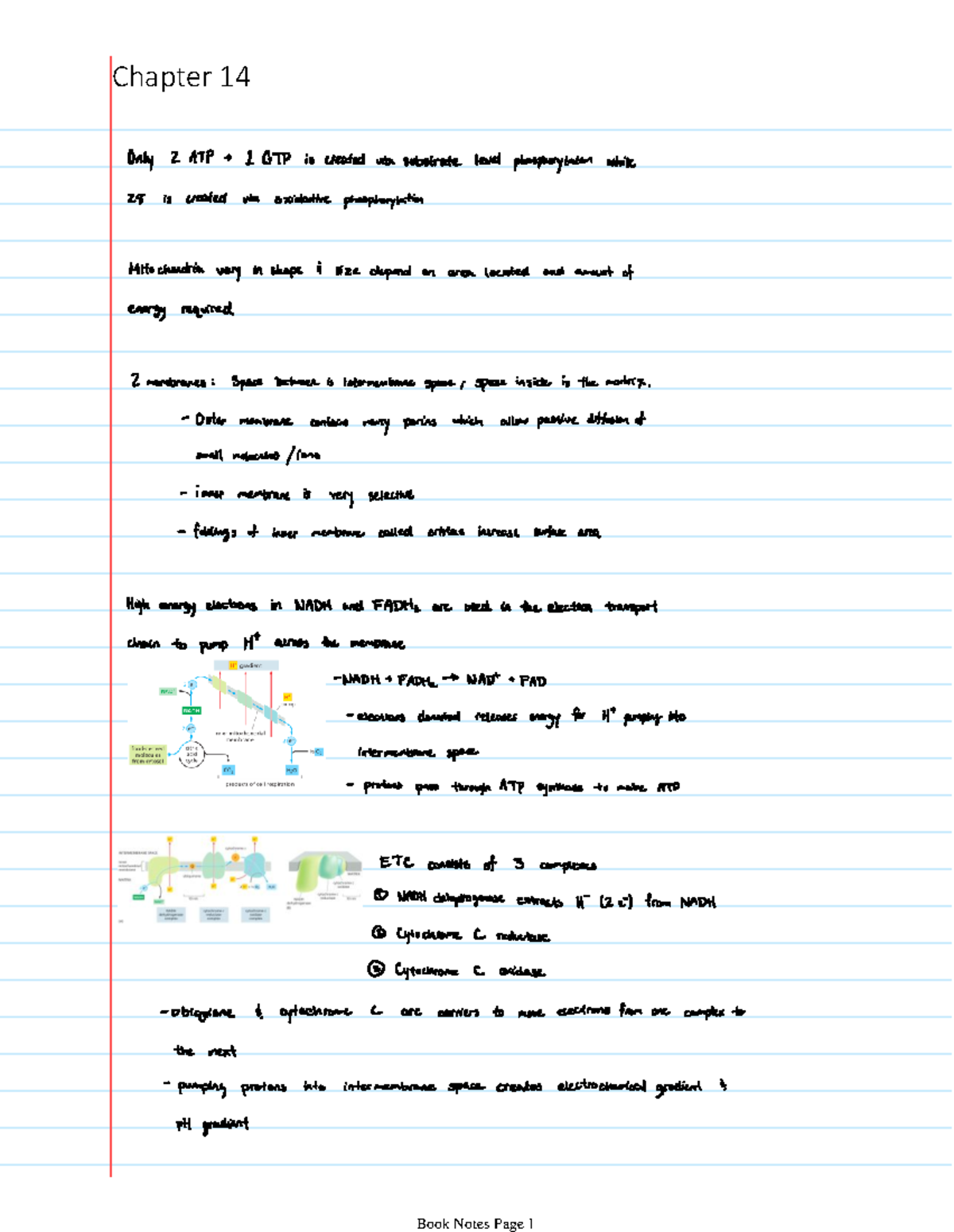 Chapter 14 - BIOL 2120 - Chapter Book Notes Page Book Notes Page - Studocu