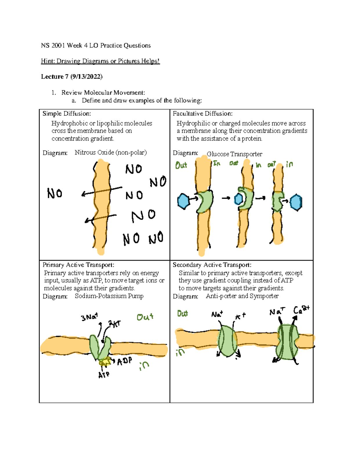 Week 4 Pre-lecture Question Solutions - NS 2001 Week 4 LO Practice ...